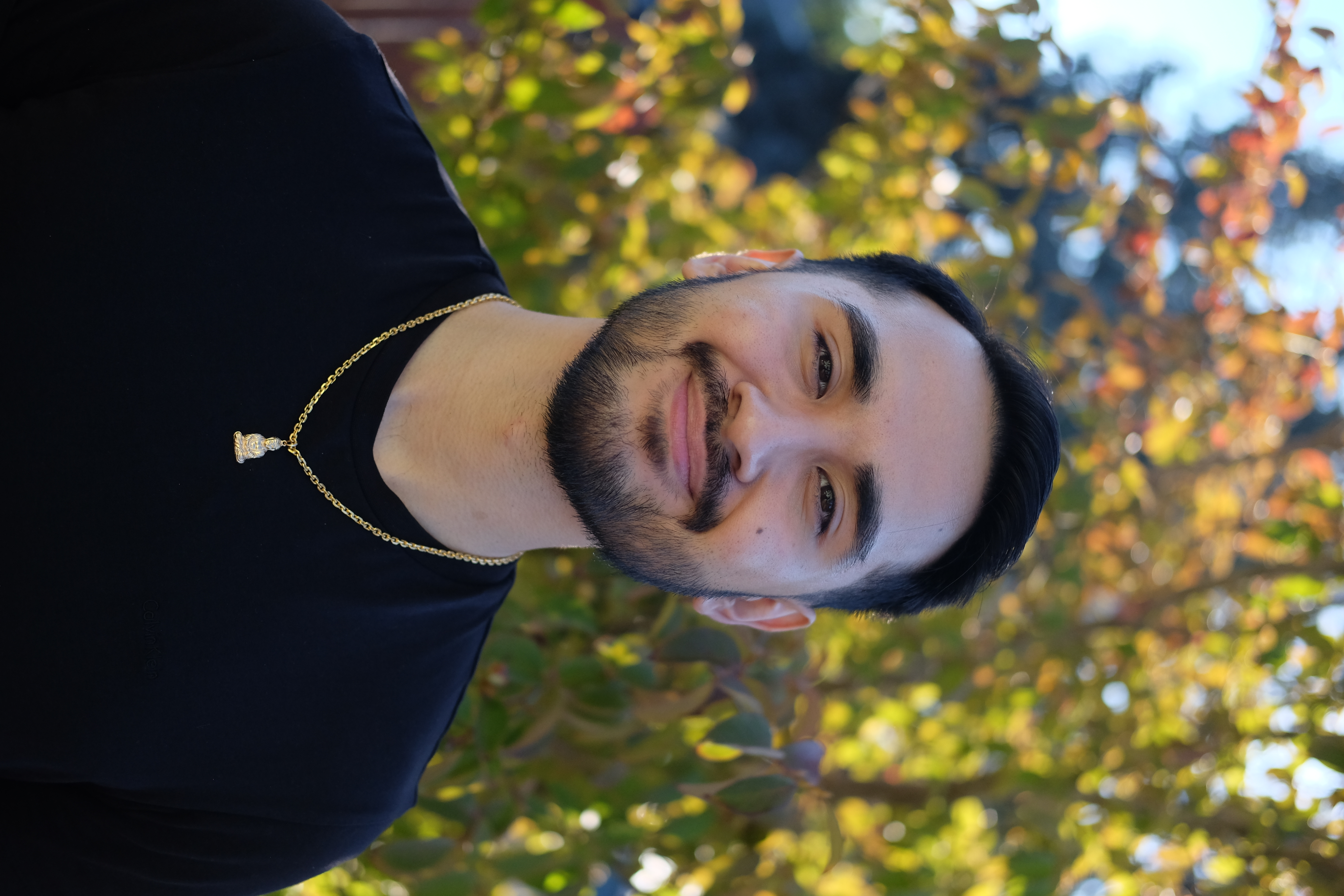 Andy Truong's Portfolio